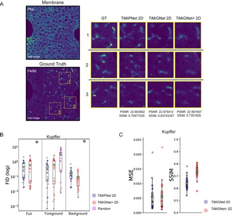 Deep Learning Plos One