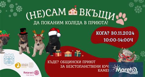 Подари Коледа на четириногите приятели в приюта за безстопанствени кучета във Варна