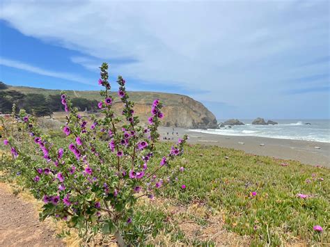 Things To Do In Pacifica