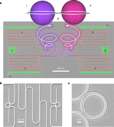 The Hyperdimensional Spinorbit Microlaser A Scanning Electron Download Scientific Diagram