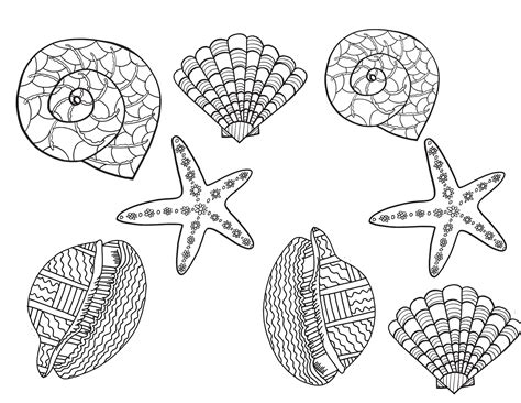 Seashell Coloring Sheets At Walter Lawrence Blog