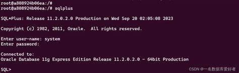 Oracle11g登录方法 Csdn博客