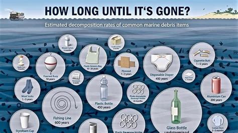 Interesting How Long Trash Takes To Decompose Marine Debris Marine