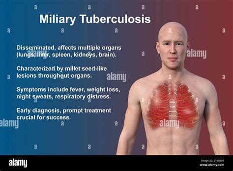 A 3d Photorealistic Illustration Showcasing The Upper Half Part Of A
