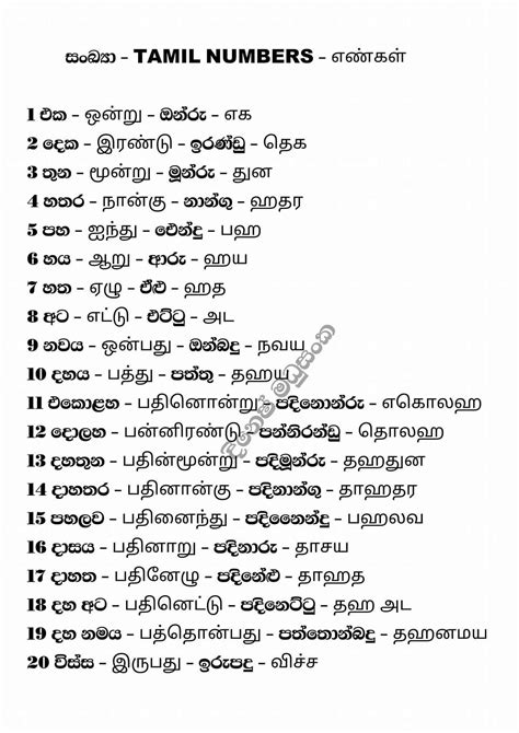ඉලක්කම් 🖐සා පෙළ දෙමළ දින 8 කින් Dinesh Madusanka
