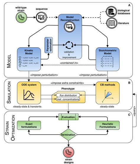 figure 1 from a review of dynamic modeling approaches and their