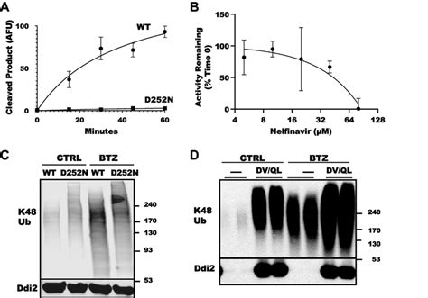 Ddi2 Is A Protease Active Against A Ubiquitylated Protein And Its