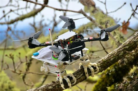 스탠포드대 새처럼 나뭇가지에 사뿐히 앉는 드론 집게 개발 로봇신문사
