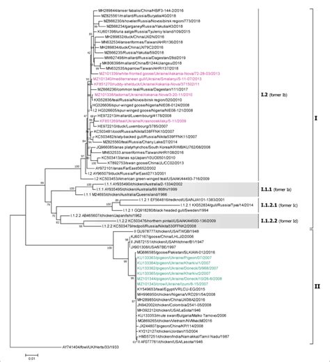 Phylogenetic Analysis Of Ndv Genotype I And Ii Class Ii Isolates Based Download Scientific