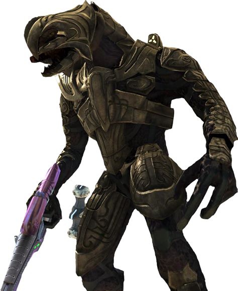 Image The Arbiterpng Halo Nation — The Halo Encyclopedia Halo 1 Halo 2 Halo 3 Halo 4