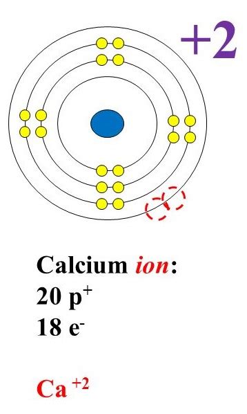 Calcium Bohr Model