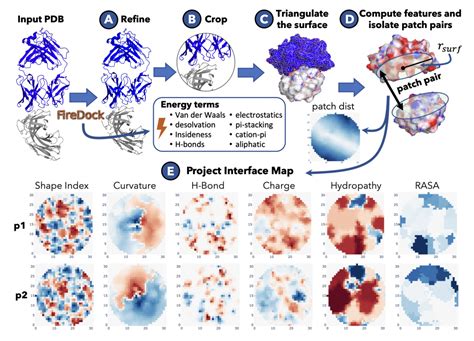 Nat Mach Intell 速递：transformer 网络评价蛋白质结合界面 集智俱乐部