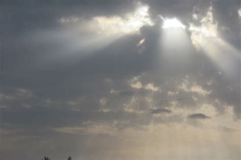 Rfc 307 By Simon Cozens Raku Advent Calendar