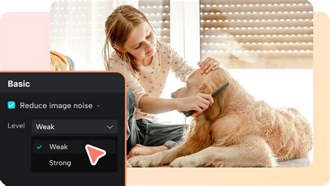 Denoise Video Effortlessly Remove Noise From Videos