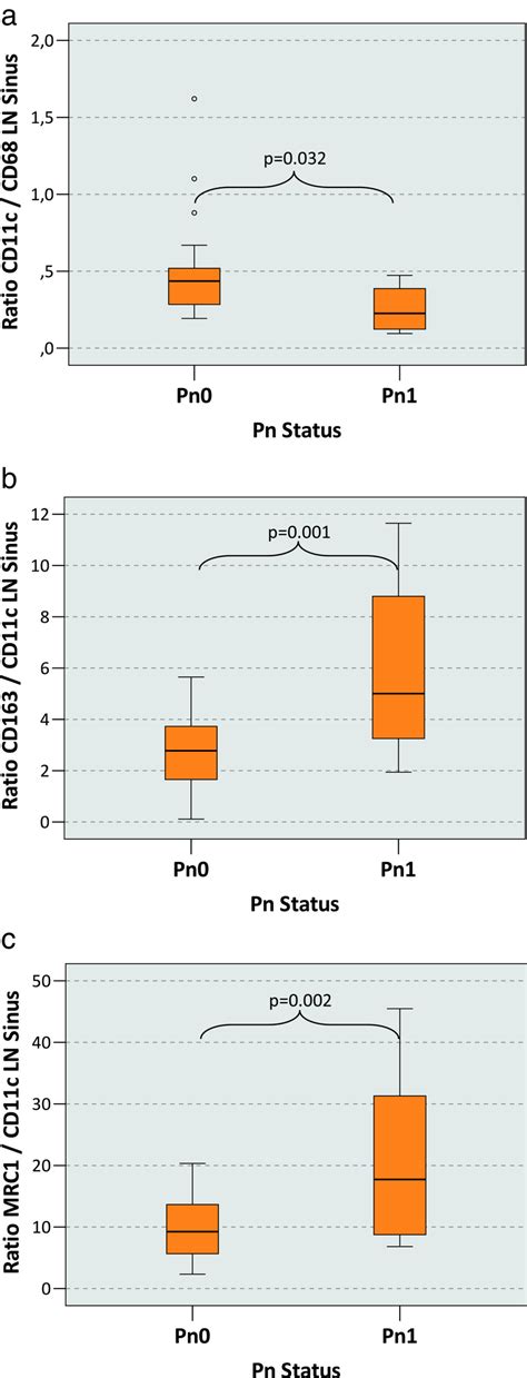 Macrophage Polarization In The Lymph Node Sinus Depending On The Download Scientific Diagram