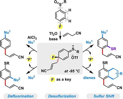 Defluorinative Multi‐functionalization Of Fluoroaryl Sulfoxides Enabled