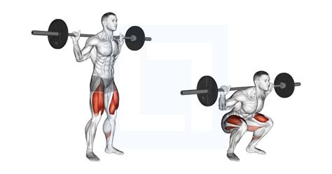 Dumbbell Split Squat Guide Benefits And Form