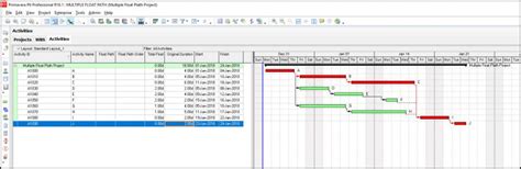primavera p6 professional multiple float paths
