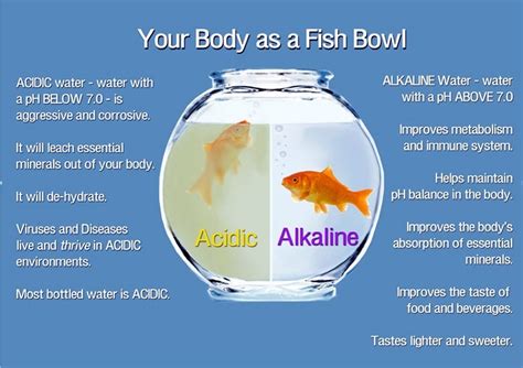 Alkaline Vs Acidic