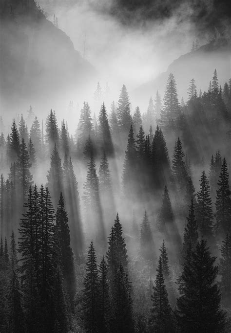 Bathing Photograph By Aidong Ning Fine Art America