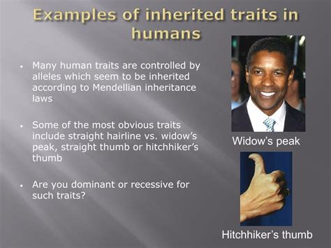 ppt patterns of inheritance powerpoint presentation free download id 2631659