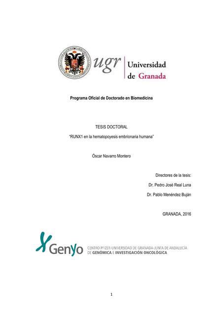 HEMATOPOYESIS Cecilia Chasi UDocz HEMATOPOYESIS Cecilia Chasi UDocz