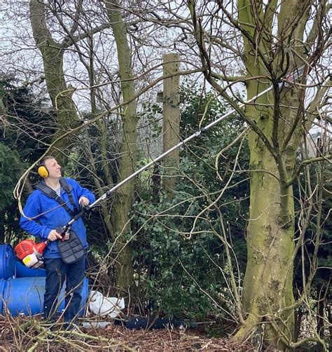 Tested And Approved 6 Best Telescopic Tree Pruners For Thick Branches
