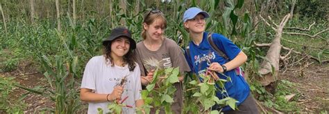 La Brunca Life In La Brunca Amigos De Las Americas