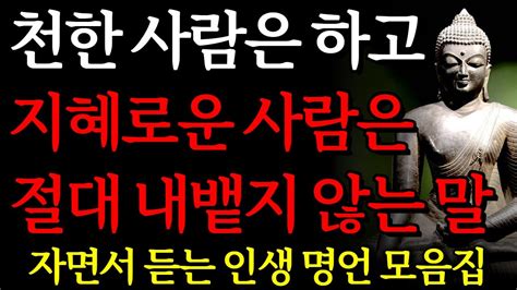 현명한 사람들이 가지고 있는 공통적인 말버릇 I 나이가 들수록 입조심 해야하는 이유 I 자면서 듣는 부처님 명언 4시간 I