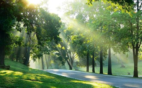 Morning Nature Wallpapers Top Free Morning Nature Backgrounds