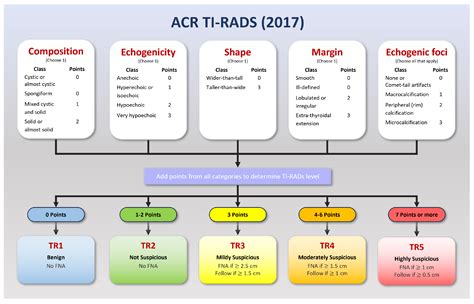 Explainable Automated TI RADS Evaluation Of Thyroid Nodules