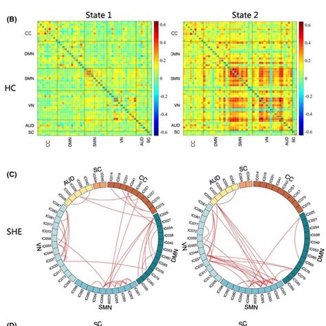 Two Dynamic Functional Connectivity Patterns Of Each Group Note A