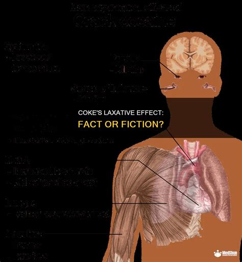 Cokes Laxative Effect Fact Or Fiction Medshun