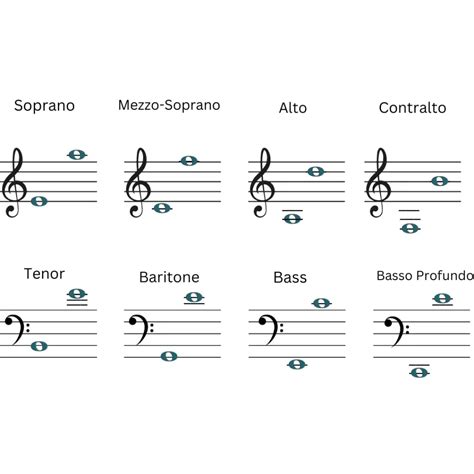 List Of Different Voice Types In Singing And Find Out Your Type