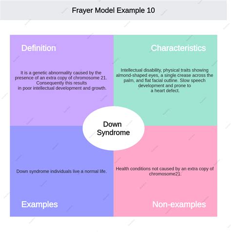 Everything About Frayer Model Examples Included