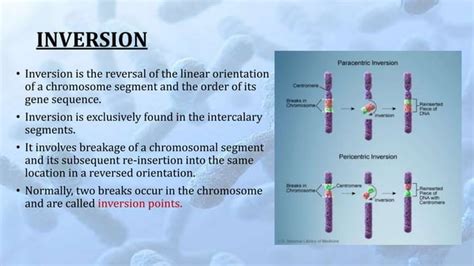 Chromosomal Aberrationa Detailed Presentation Pptx