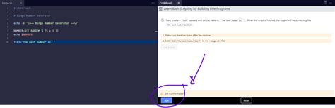 test runner failed learn bash scripting by building five programs
