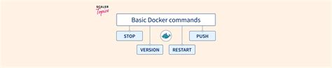 Basic Docker Commands Scaler Topics