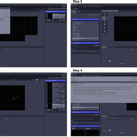Maximum Intensity Projection By Using The Zeiss Zen Software Step 1 Download Scientific