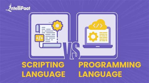 Mmd Services On Linkedin Scripting Language Vs Programming Language