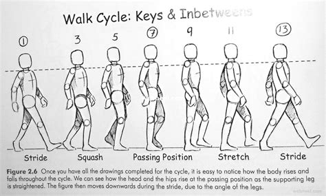 Person Walking Reference Side How To Draw A Walk Cycle Walk Cycle