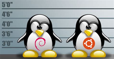 Debian 6 Vs Ubuntu 12 04 LTS For Your Web Server