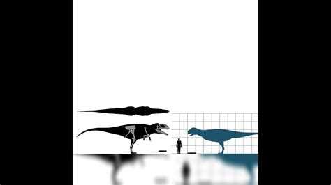 Tyrannotitan And Abelisauridae Indet Size Comparison Youtube