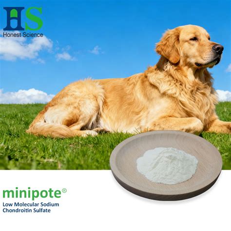 Minipote® Low Molecular Weight Chondroitin Sulfate Sodium Powder Bulk