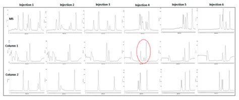 Parallel Sfc Ms For Rapid Chiral And Achiral Analytical And Semi Prep