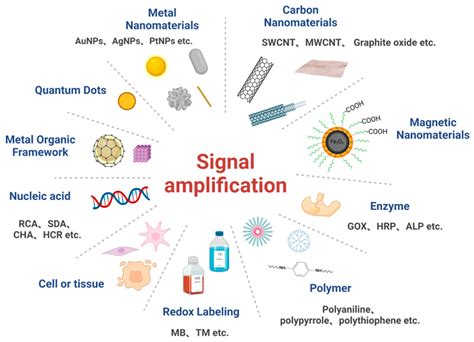 Electrochemical Signal Amplification In Olfactory And Taste Evaluation Encyclopedia Mdpi
