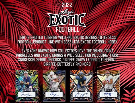 2022 Leaf Exotic Football Cards