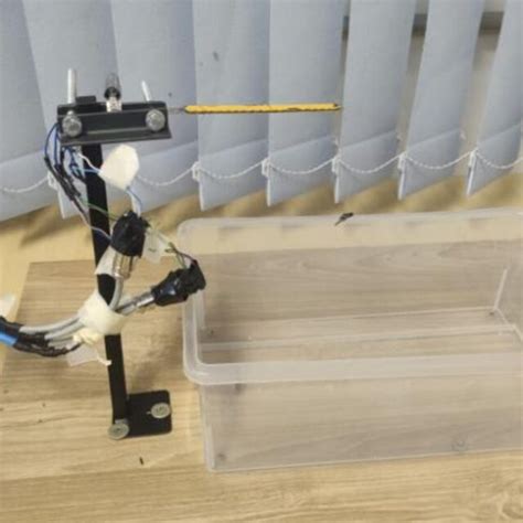 Strain Gages Connected To The Signal Conditioning Circuit Download Scientific Diagram