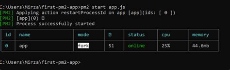 Nodejs Pm2 Orchestration Explained