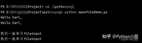 【天花板级别】python读取文件的方法 知乎